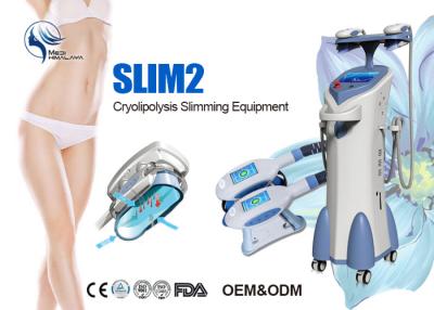Cina Grasso corporeo che congela i diodi luminescenti a macchina AC110V/220V di Coolsculpting Cryolipolysis in vendita