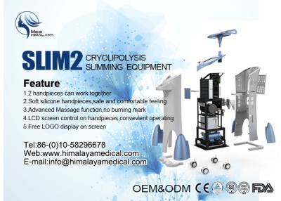 Cina 2 macchina di perdita di peso del corpo della macchina 2800W di Handpieces Coolsculpting Cryolipolysis in vendita