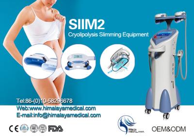 Cina Cavitazione ultrasonica rf della liposuzione che dimagrisce macchina, Cryolipolysis che dimagrisce macchina in vendita