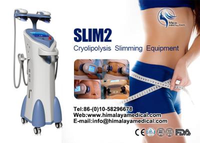 Cina Ente a macchina di Coolsculpting Cryolipolysis di 4 maniglie di Cryo che dimagrisce la macchina di congelamento grassa in vendita