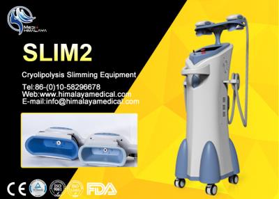 Cina Macchina verticale di Coolsculpting Cryolipolysis per il dimagramento/perdita di peso in vendita
