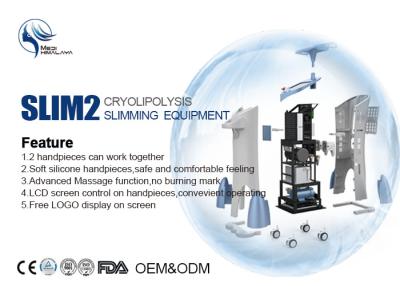 Cina Perdita di peso fredda grassa del corpo di Cryolipolysis di lipolisi della macchina di congelamento di 2 Handpieces in vendita