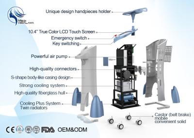 Cina Ente verticale di Coolsculption Cryolipolysis che contorna dimagrendo la macchina di congelamento grassa in vendita