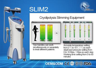 Cina Macchina fresca di Coolsculpting Cryolipolysis di tecnologia con 2 maniglie per rimozione grassa in vendita