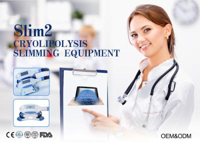 Cina Vuoto di Cryolipolysis che dimagrisce macchina per la scultura del corpo con 2 handpieces in vendita