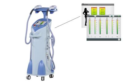 China Vacío del cuerpo de la aprobación del TUV que adelgaza la máquina para la pérdida de peso de Cryolipolysis en venta