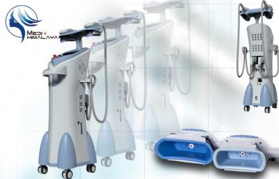 Cina Ente a macchina femminile che contorna, trattamento non invadente di Cryolipolysis in vendita