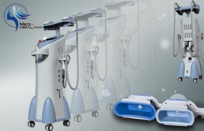Cina macchina grassa di Cryolipolysis di rimozione 800W, ente sicuro che dimagrisce macchina in vendita