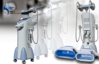 Cina Tecnologia verticale 800W di vuoto LED della macchina di Cryolipolysis delle donne in vendita