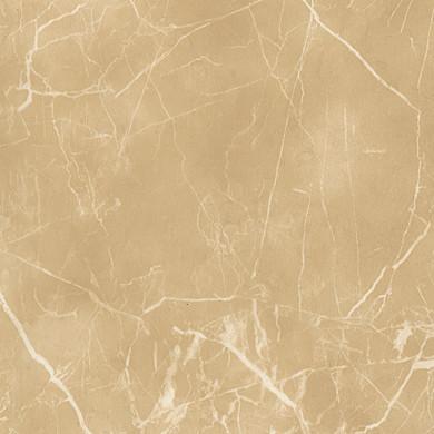China La línea de plata película beige/calor de la transferencia de calor del animal doméstico aplicó la película el 1300mmx400m en venta