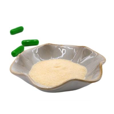 Cina Commestibile 8-10 Mesh Animal Gelatin Powder Used per fare capsula in vendita