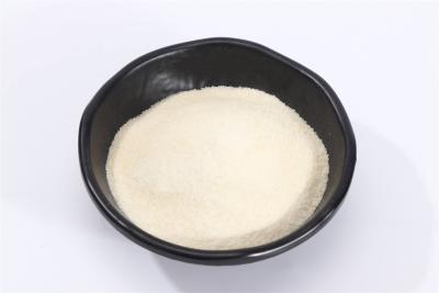 Cina Polvere pura halal della gelatina di CAS 9000-70-8 per la bevanda 60mesh dell'alimento in vendita