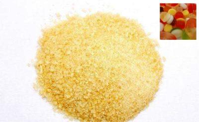 Cina Polvere bianca della gelatina del manzo di 200 fioriture con il basso tenore di umidità in vendita