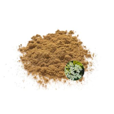 China 100% Pure Organic Elderberry Extract Powder Bone Health for sale