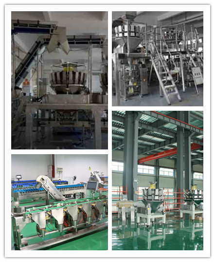 Stainless Steel 304 Puffed Food Packing Machine operational view