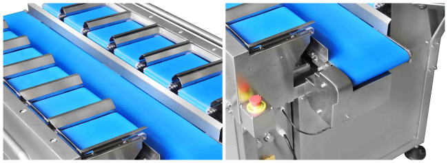 ISO Certified 12 Belt IP65 Fruit and Vegetable Packaging Machine