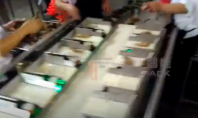 Custom fruit and vegetable packaging machine in operation