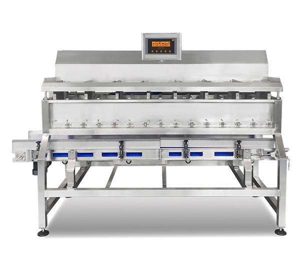 TOUPACK Multihead Weighing Machine for seafood packaging
