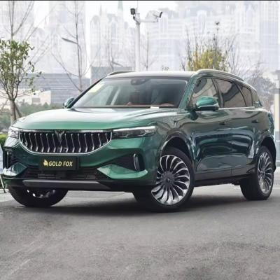 Cina Voyah Free 2024 SUV ibrido a carburante idrogeno Tipo 405km Max Cruising Range Energy Vehicle in vendita