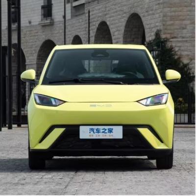 China Elektrische EV-laadmachine met energies Byd Seagull 2024 Dynamic Version Te koop