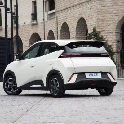 China 2023 Byd Seagull Elektrische auto met een batterijcapaciteit van 30,08 Kwh en een roze buitenkleur Te koop