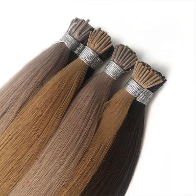 중국 100% 인적 머리카락 연장품 레미 러시아 I-Tip Muti-Color 만족을 보장합니다 판매용