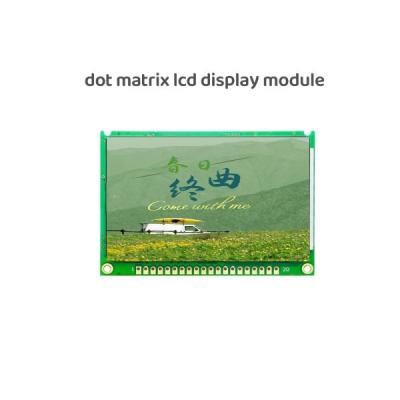 Cina piccola dimensione del modulo LCD dell'esposizione, schermo grafico della matrice a punti di 19264 PANNOCCHIE in vendita