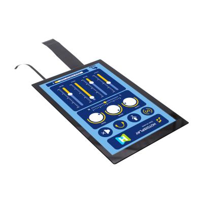 中国 4.3インチTFT LCD縦スクリーン480x800 IPS LCDのモニターTFT LCDの表示の製造業者 販売のため