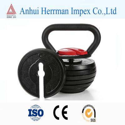 Chine Ensemble changeant de Kettlebell de gymnase de poids du néoprène de vinyle de poignée de poignée de fer à vendre