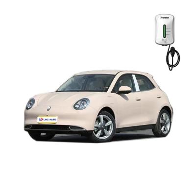 Китай Тёмный интерьер 2024 5 дверей 5 мест Электрический EV Car Great Wall Motors ORA Cat Электрический внедорожник продается
