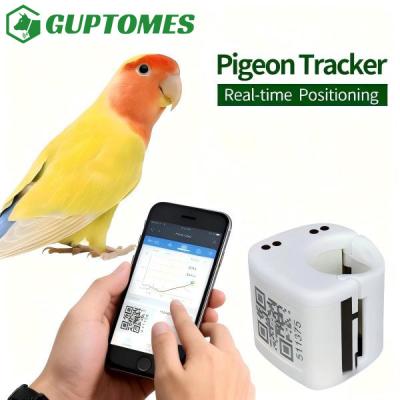 Cina Dispositivo di tracciamento GPS impermeabile Mini Pigeon Animali Ultra Light 5.4g GPS LBS Real Time in vendita