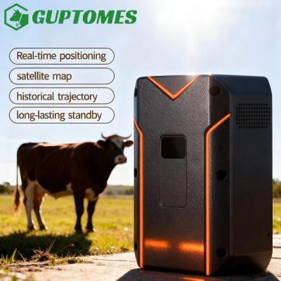 China Ultra Long Standby GPS Cattle Tracker 20000mAh For Real Time Vehicle & Asset Tracking for sale