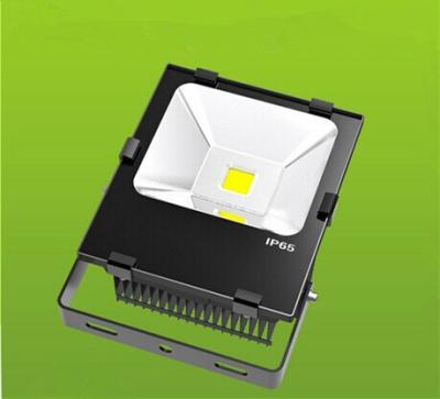 Cina luce di inondazione impermeabile luminosa eccellente di Epistar LED di alto potere 100W per illuminazione del parco in vendita