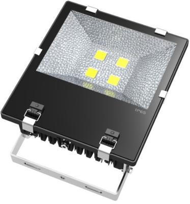 Cina I risparmi energetici 200w impermeabilizzano gli ambienti di alta umidità della luce di inondazione del LED in vendita