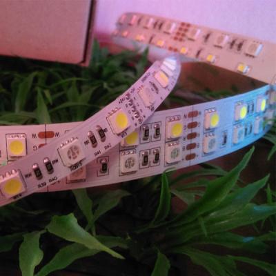China Nuevo tipo 5050 tira del smd los 60leds/m RGB+W LED en venta