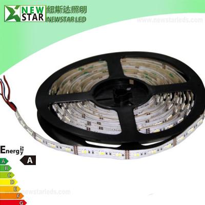 China Luces de tira del RGB W WW LED, tira del RGB LED, tira llevada ajustable del CCT en venta