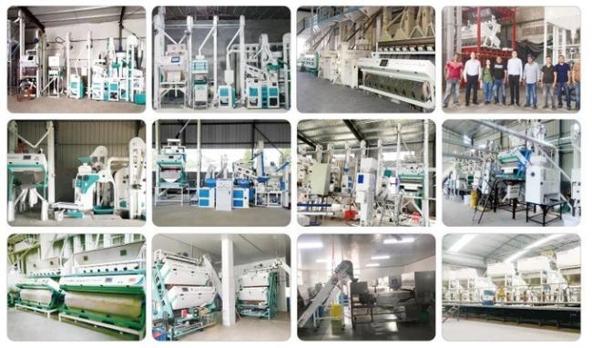 SGS μίνι 1,0 T/H 5 μηχανών διαλογέων χρώματος μύλων ρυζιού CCD