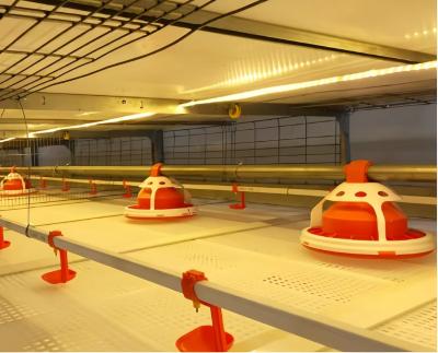 China Modern Automatic Broiler Chicken Farming Equipment H Type Poultry Broiler Cage for sale