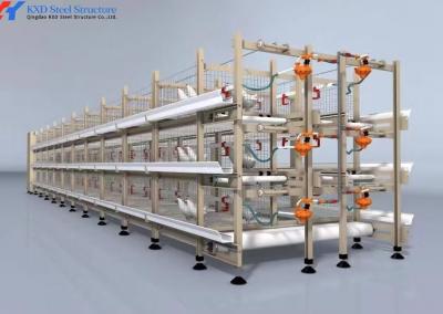 China Easy Install Broiler Chicken Cage Automatic Chicken Feeding System For Poultry for sale