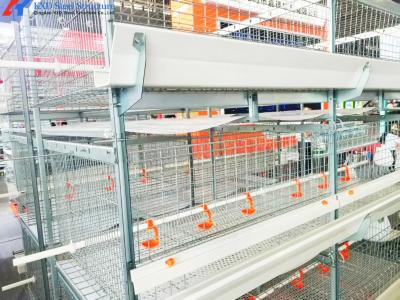 China Hot Dip Galvanized Steel Chicken Layer Cages With Automatic Equipment for sale