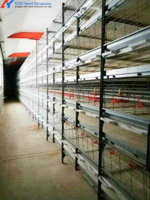 China Poultry Equipment Chicken Layer Cages A Type H Type Layer Cage Automatic for sale