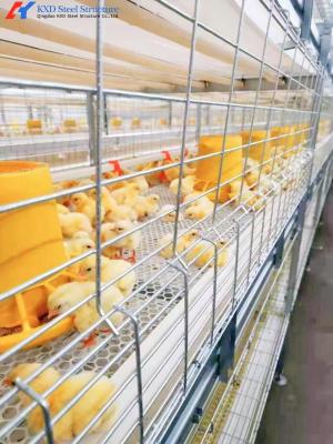China Poultry Equipment Chicken Layer Cages A Type H Type Layer Cage Automatic for sale