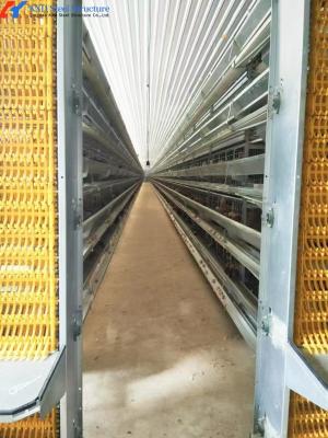 China Poultry Equipment Chicken Layer Cages A Type H Type Layer Cage Automatic for sale