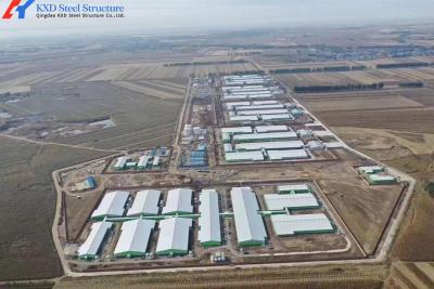 Cina Edilizia di case di pollame in acciaio Struttura in acciaio a lungo raggio Edificio di allevamenti di pollame in vendita