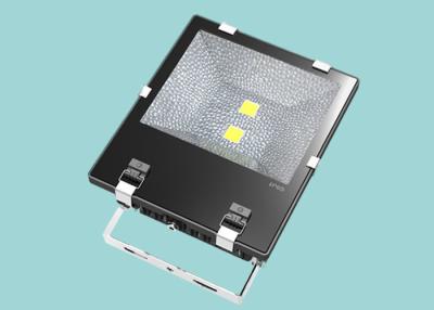 Cina Progetti le grandi luci per il cliente di inondazione principali all'aperto IP65 100W per illuminazione del paesaggio in vendita