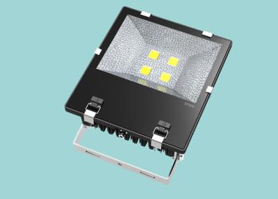 Cina lampada economizzatrice d'energia esterna delle luci di inondazione di 240w IP65 LED per la corte/stadio di calcio in vendita