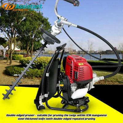 중국 3CX-250A 차 정원 잎 헤지 트림러 1E32FW 엔진과 500mm 절단 폭으로 구동 판매용