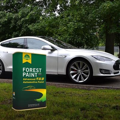 Cina Pittura di spruzzo automobilistica dell'iniettore 1L/CAN in vendita