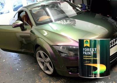 Cina Materiale da otturazione eccellente e coprire la pittura acrilica di 1K Grey Primer Automotive Refinish Auto in vendita