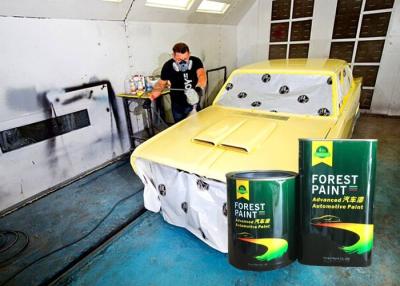 Cina Protezione automobilistica della pittura di spruzzo dell'iniettore di alta adesione 1K/2K per i graffi dell'automobile in vendita